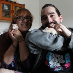 Pet Rat Enrichment (Social, Mind, And Cage!) - Rodent Friends
